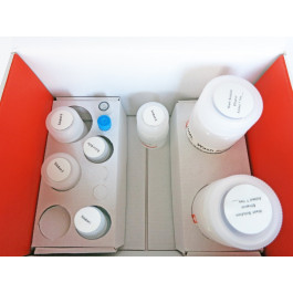 Plasmid DNA Miniprep Kit | Bio Basic