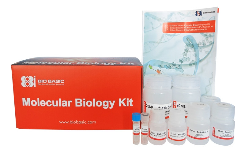 Plasmid DNA Miniprep Kit | Bio Basic