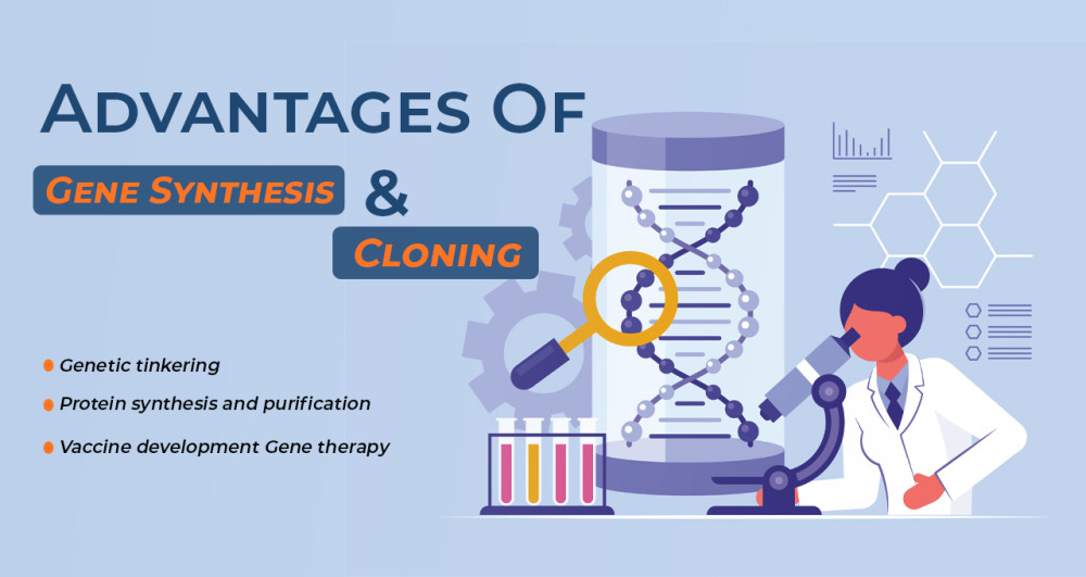 What Is Gene Synthesis? What Are Its Advantages?